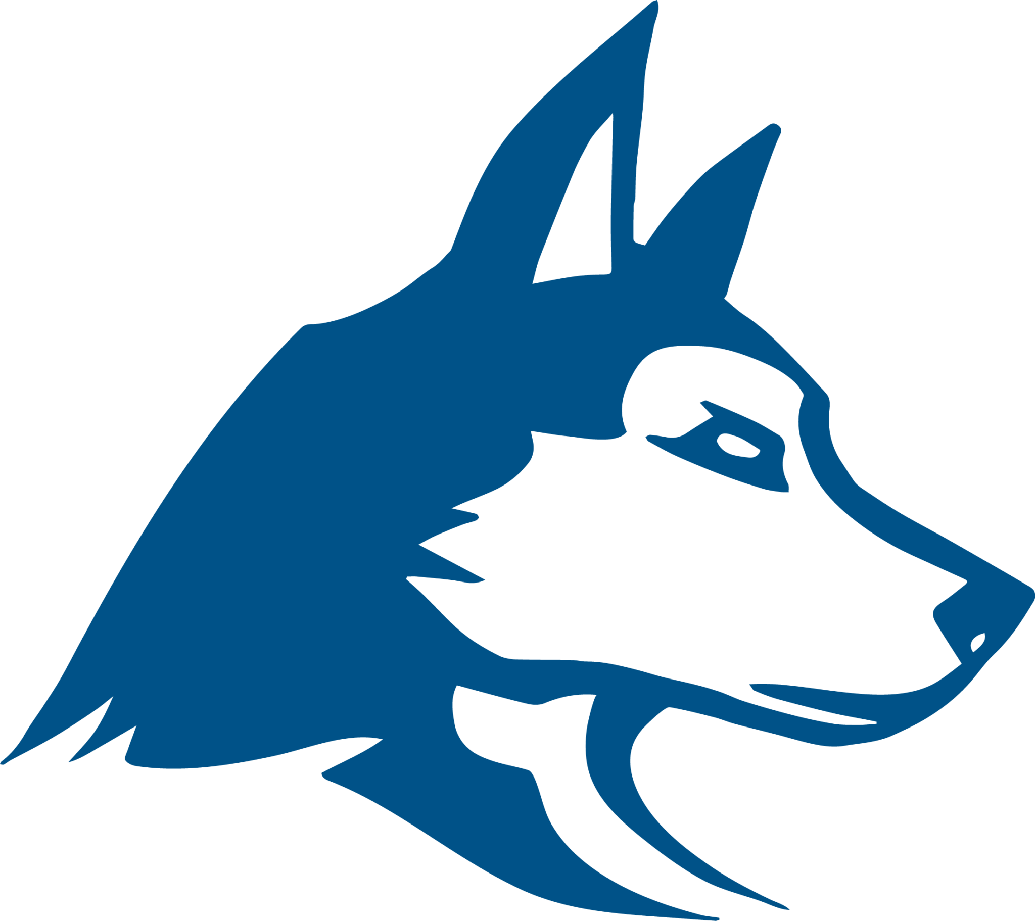 College Prep Academics with Learning Support | Rolling Hills Preparatory